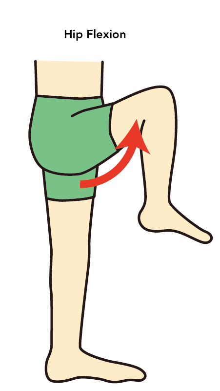 Hip Flexor Pain After Hip Replacement | Recovery & Relief Tips